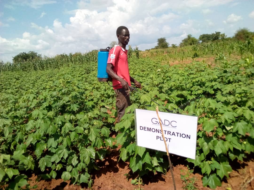 Integrated Human Capital Management System | Resource Enhancement ...